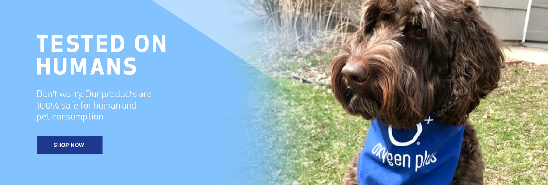 Oxygen Plus (O+) | Pure Canned Recreational Oxygen